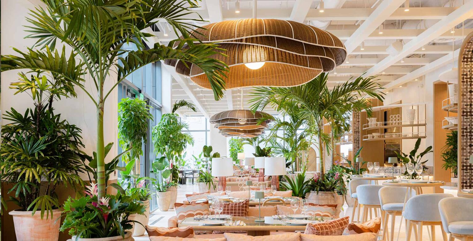 Level 6 Rooftop, Coconut Grove, FL - General Contractor l Construction ...